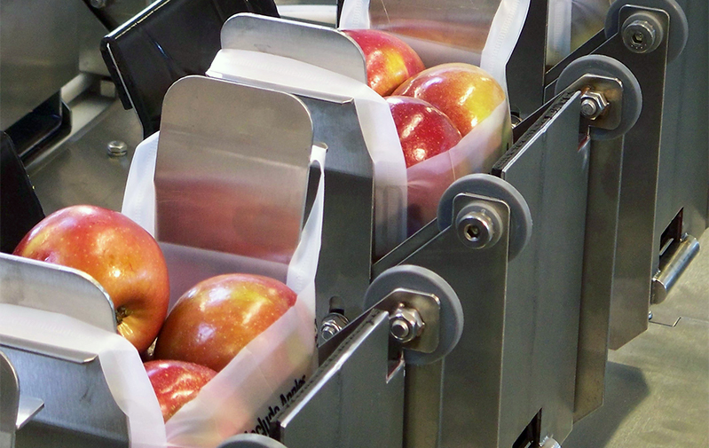 Boosting Efficiency: The Essential Guide To Apple Bagging Equipment